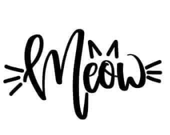 MEOW Decal Sticker | ANYStickerUWant.com