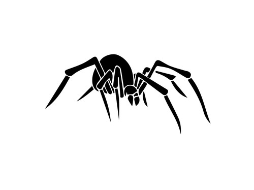 Wicked Spider Vinyl Decal Sticker 119 | ANYStickerUWant.com