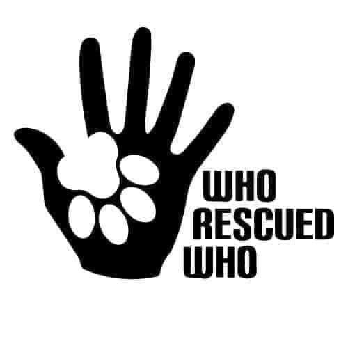 Who Rescued Who Paw/Hand Decal Sticker | ANYStickerUWant.com