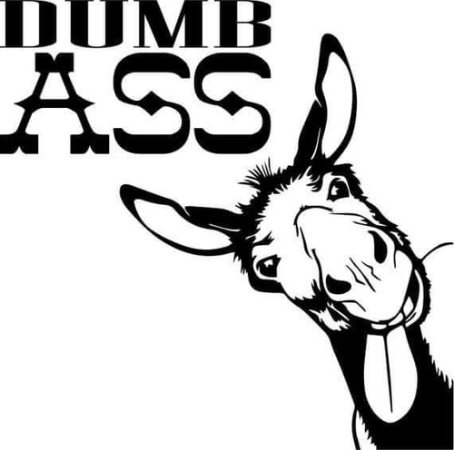 DUMB ASS decal sticker donkey | ANYStickerUWant.com