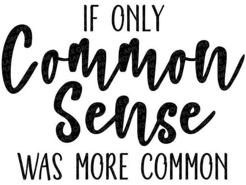 If only common sense was more common decal sticker | ANYStickerUWant.com