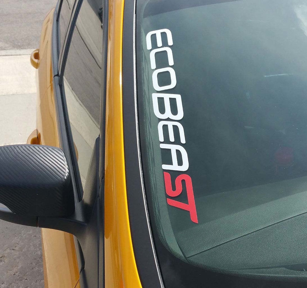 EcoBeaST Vinyl Decal Sticker 5 | ANYStickerUWant.com