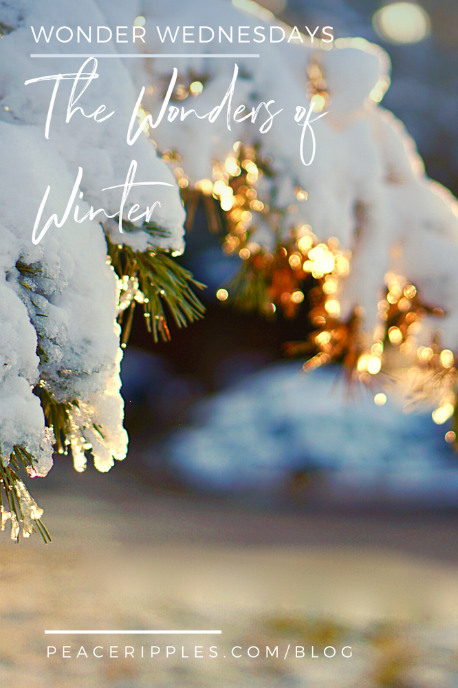 The Wonders of Winter