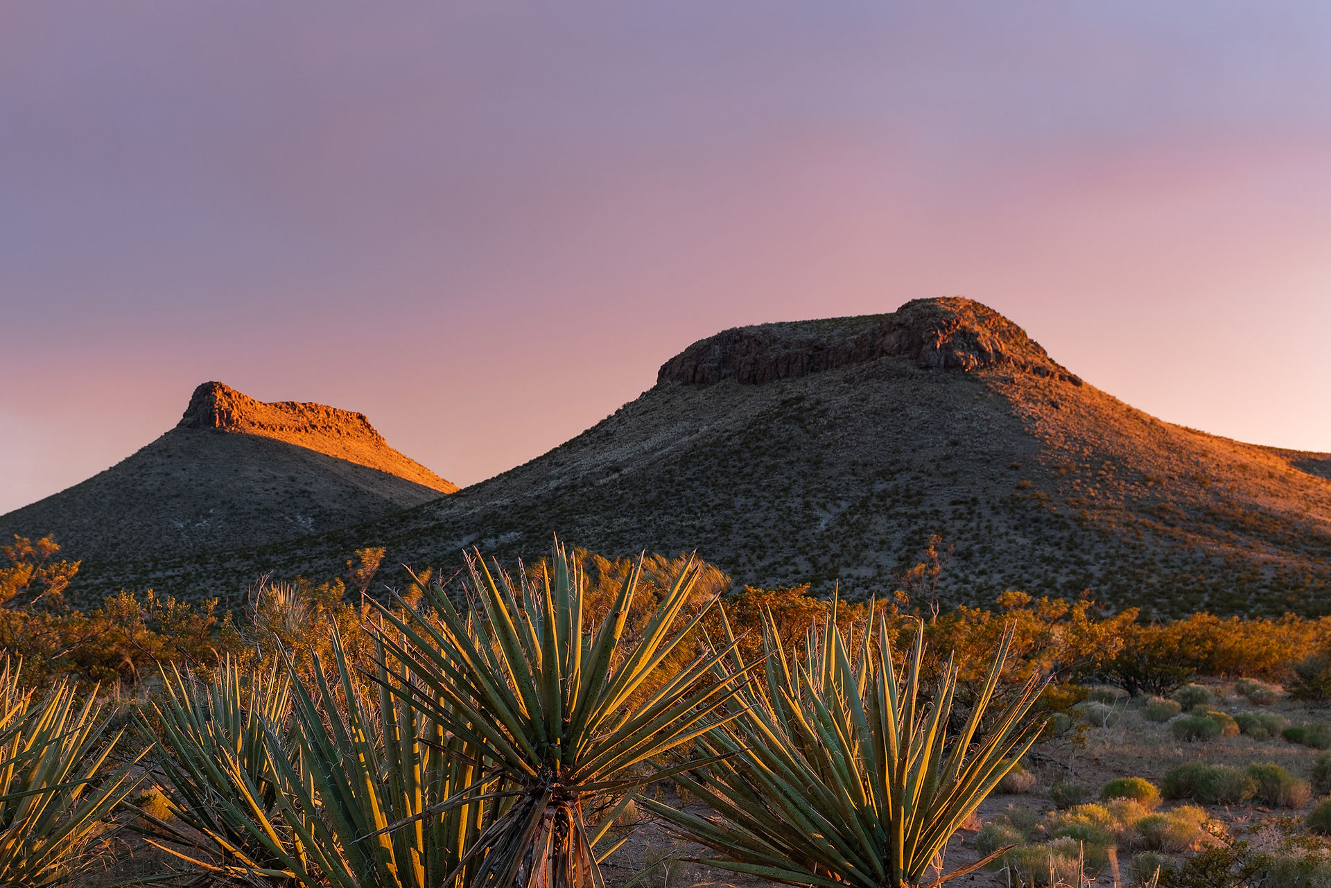 Karen Conley-Mixed Media Painter | AOPH