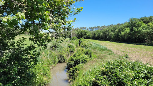 Riparian Buffer Seed Mix | Franklin Co. NRCD