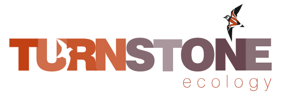 Surveys Timetable | turnstone-ecology