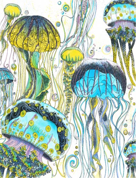 Sophie Cunningham Illustrator