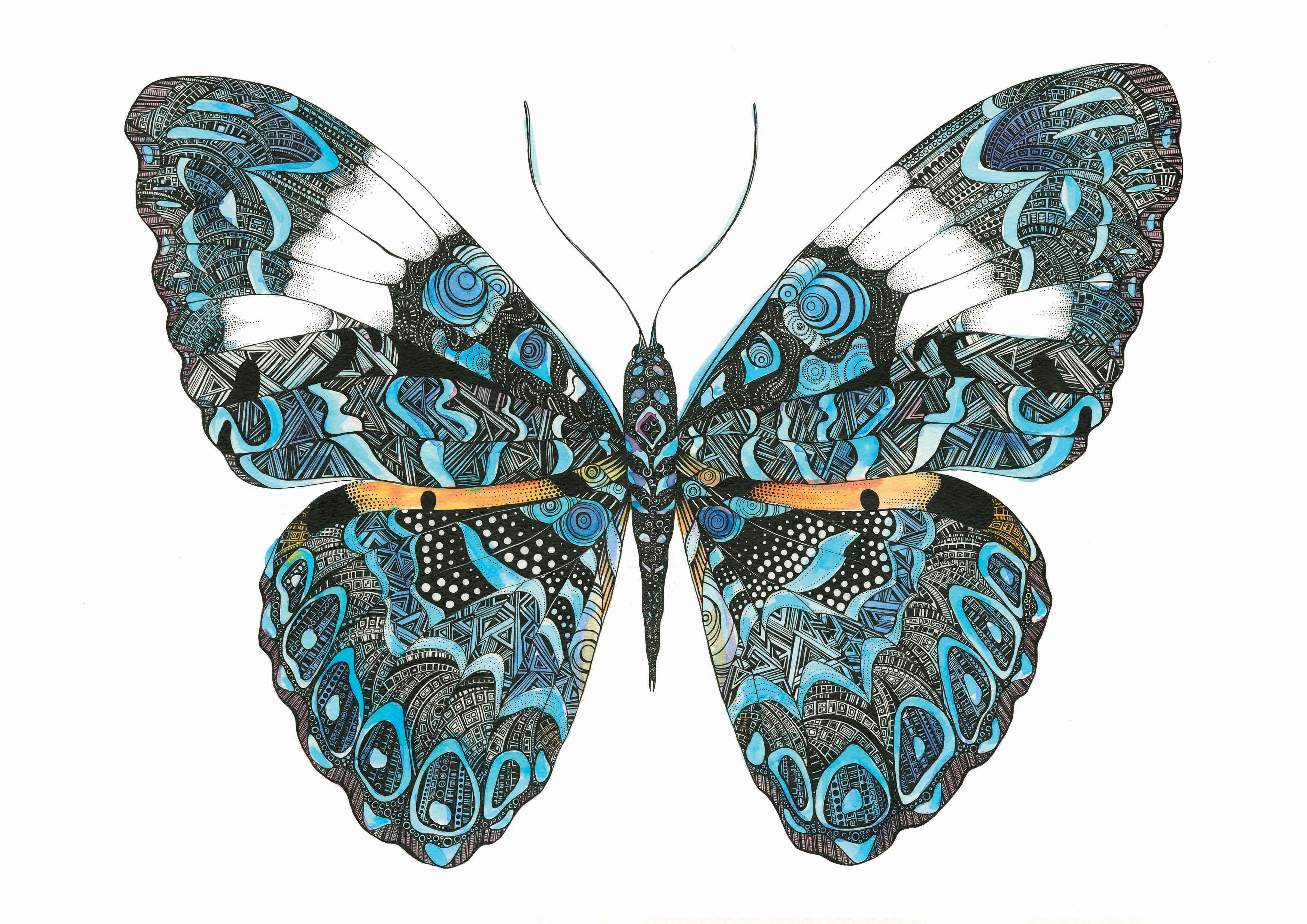 Sophie Cunningham Illustrator