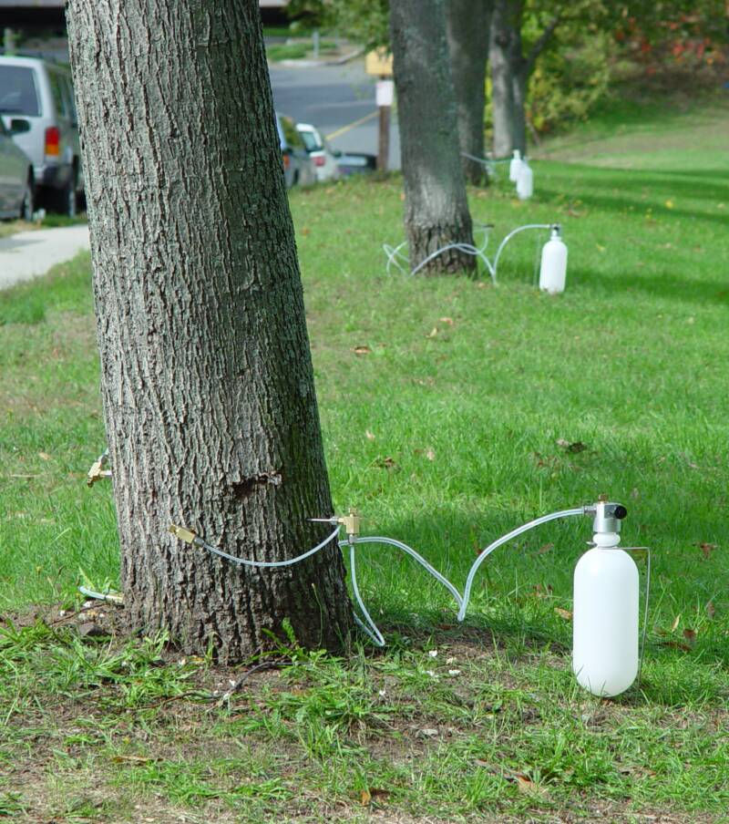 What are Trunk Injections?