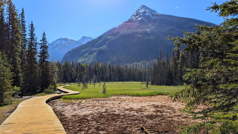 Road Trip Guide to Kootenay National Park