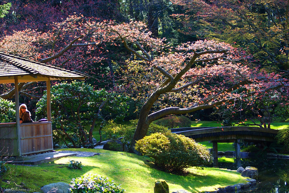 Vancouver Day Trip: Nitobe Memorial Garden