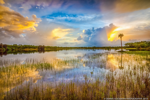 America's Everglades | Everglades Coalition | Florida