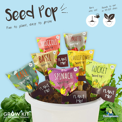 Seed Pop Set | Dudeplants