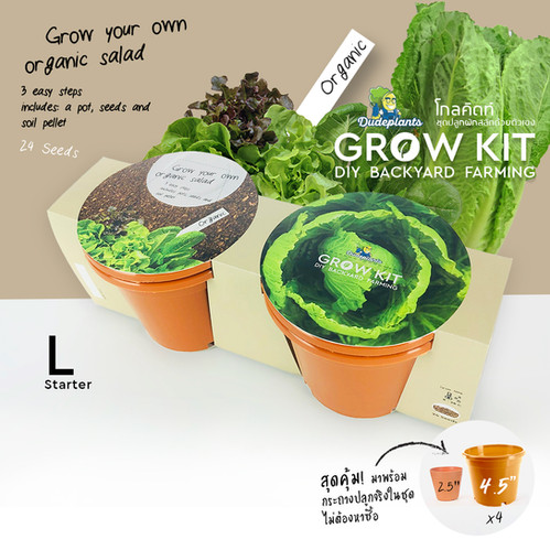 Grow kit Set L: salad mix | Dudeplants