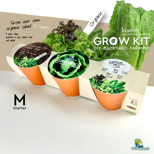 Grow kit Set M: salad mix | Dudeplants