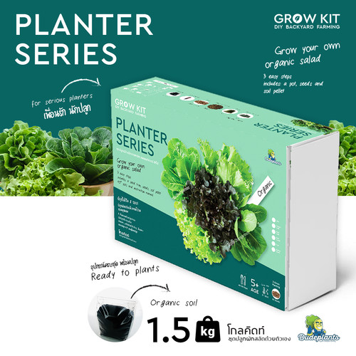 Grow kit: Planter Series salad mix | Dudeplants