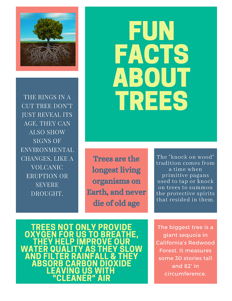 Fun Facts: Trees