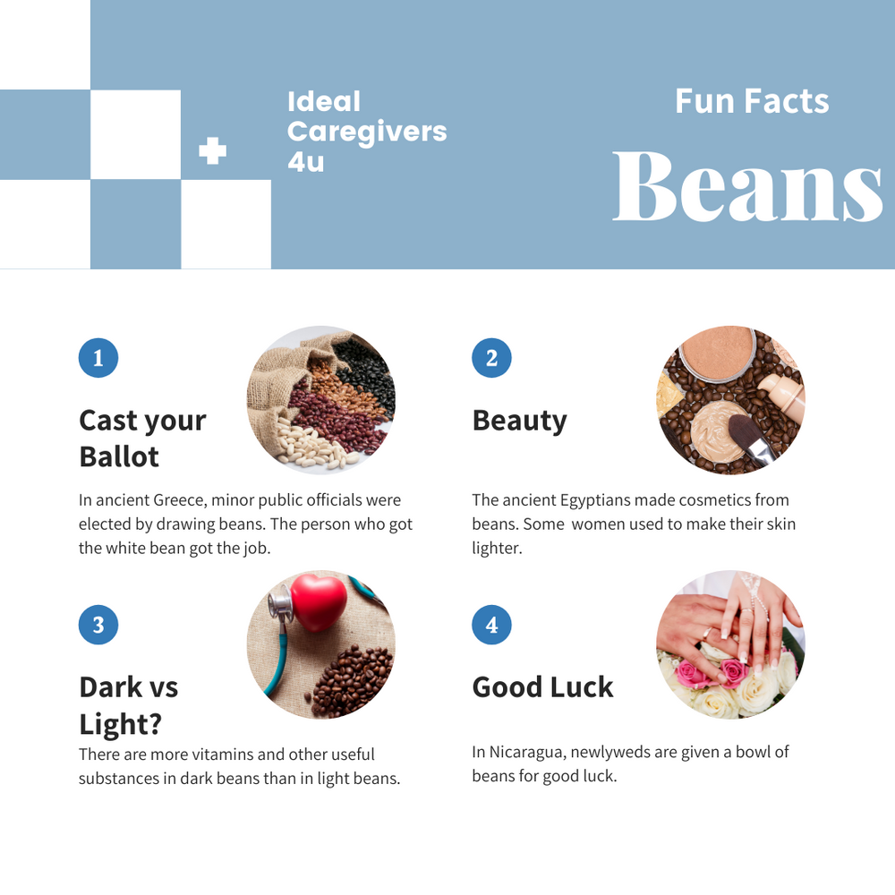 Fun Facts: Beans
