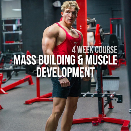4 Week Intermediate Mass Building & Muscle Development ...