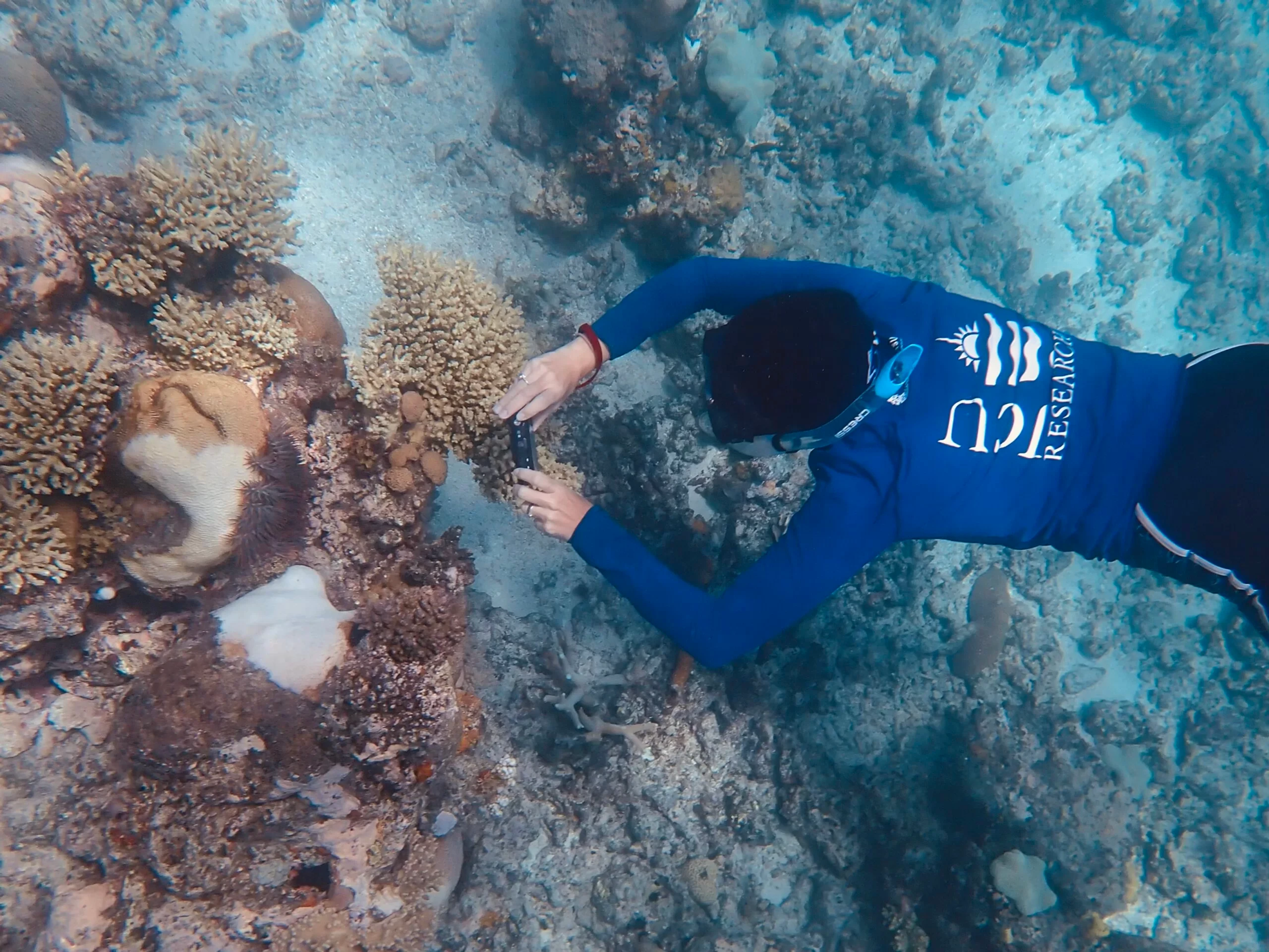 Women Warriors of the Torres Strait set sail for the Great Reef Census