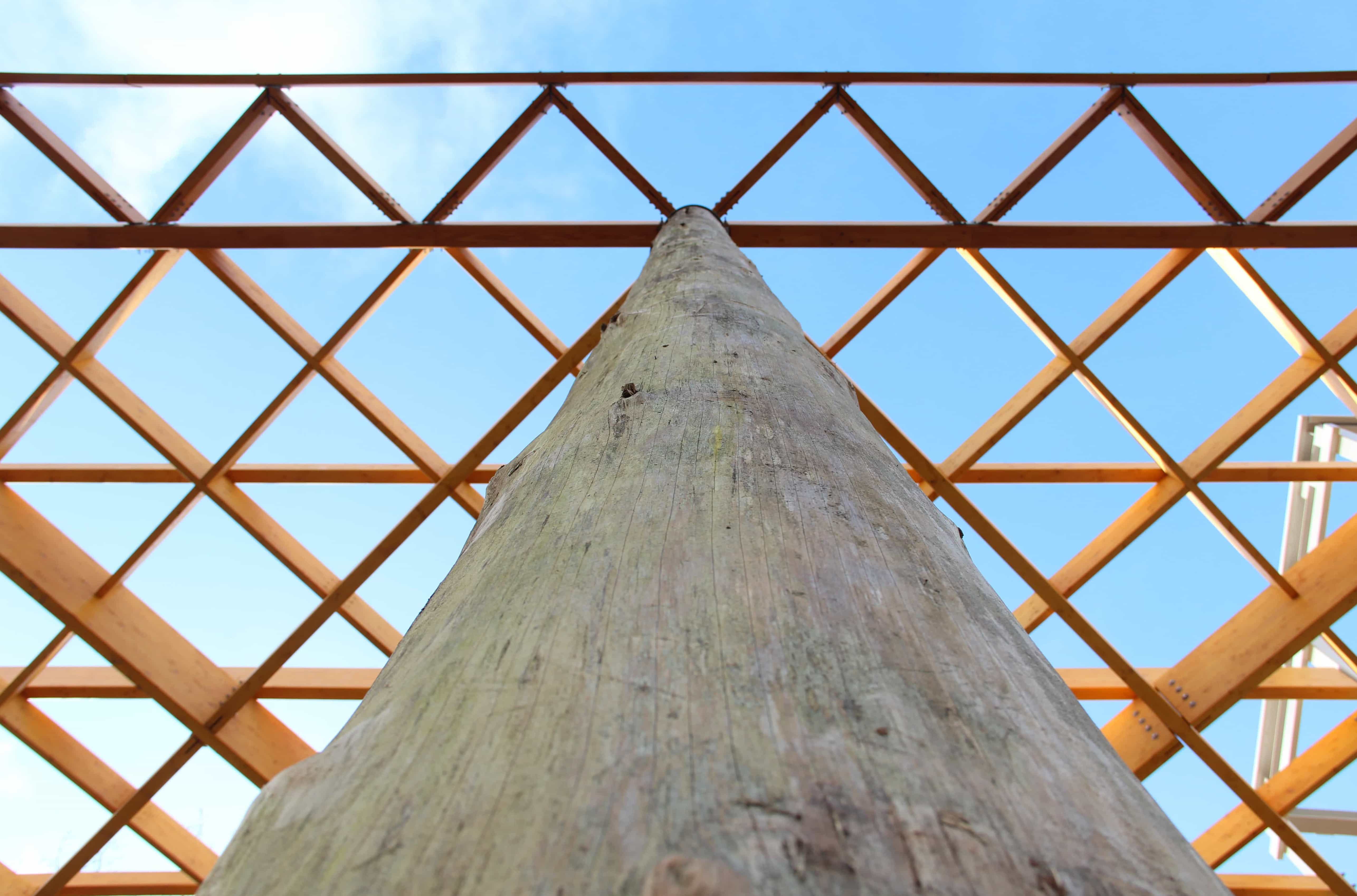 Montage van houten dakconstructie