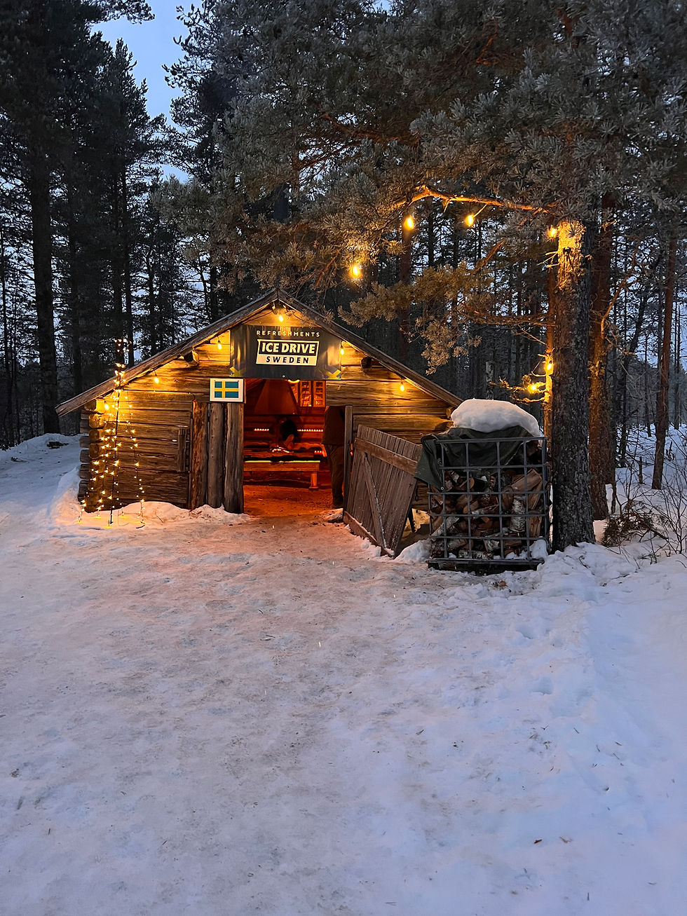The Cars | Ice Drive Sweden