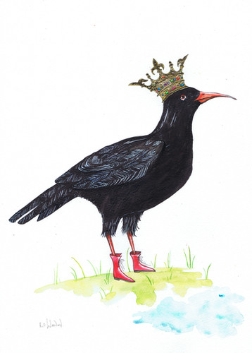 "Syr Corineus Chough" by Emily Woodard | The Crown Inn