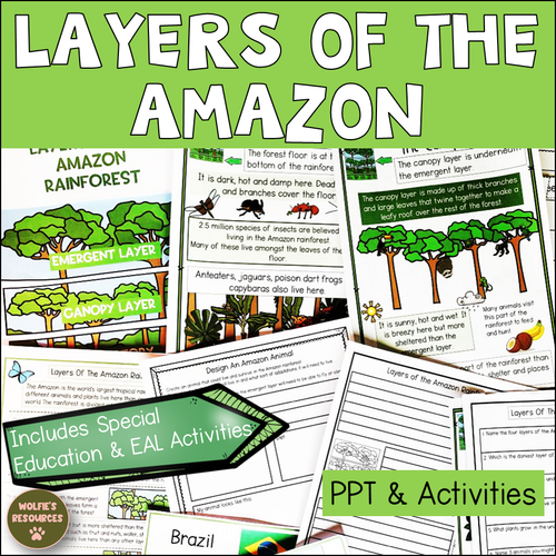 Amazon Rainforest Layers KS2 | Wolfies Resources