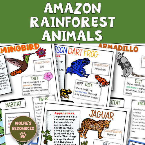 Amazon Rainforest Animal Posters And Activities | Wolfies Resources