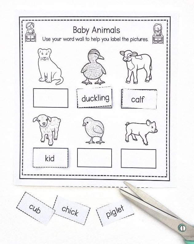 Best Science Word Wall Ideas And Activities For Your Kindergarten Classroom