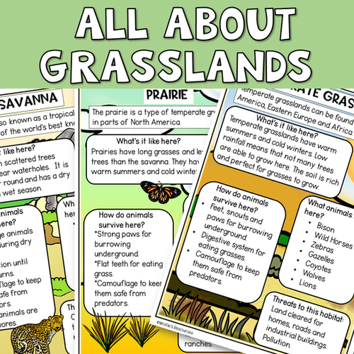 Grasslands Biome | Wolfies Resources