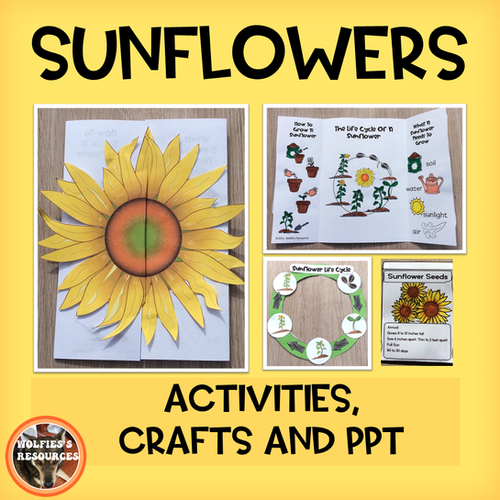 Sunflowers Activities Crafts And Power Point | Mysite