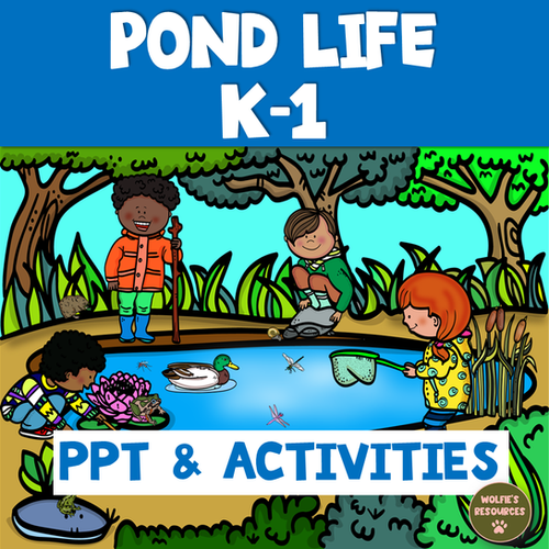Pond Life Activities KS1 | Wolfies Resources