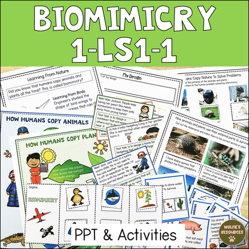 1-LS1-1 Biomimicry | Structure And Function | Mimicking Nature | First ...