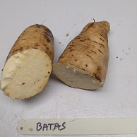 Sweet Potato Varieties | sandhill