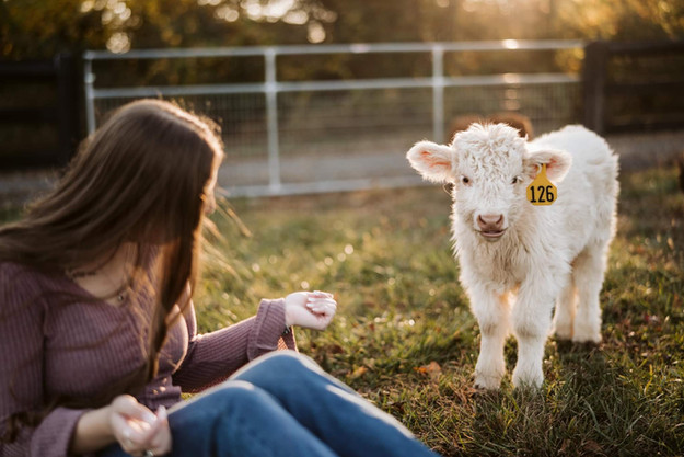 Visit Our Highland Farm | Cyrus Ridge Farm