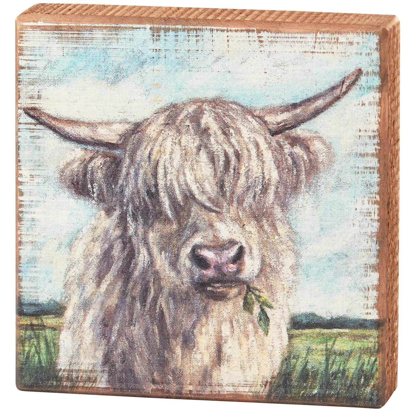 Highland Cow Sign- White | Cyrus Ridge Farm