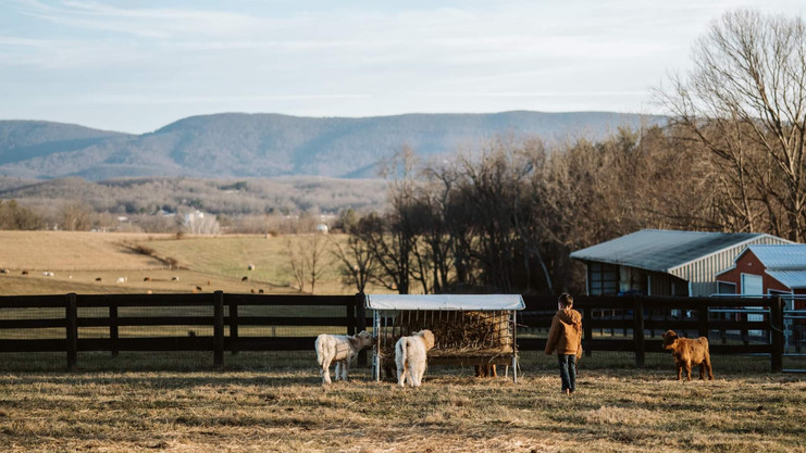 Visit Our Highland Farm | Cyrus Ridge Farm