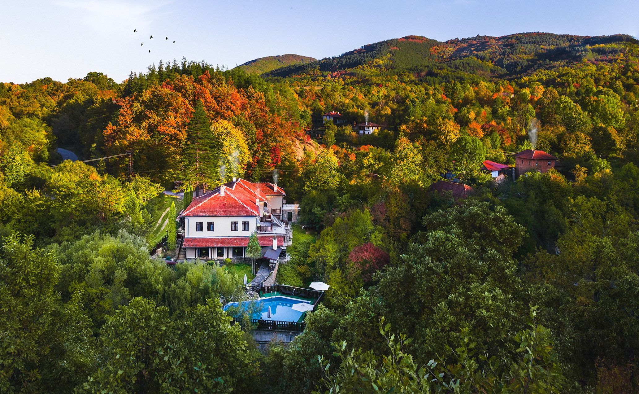 Villa | Forest Paradise | Hanevtsi