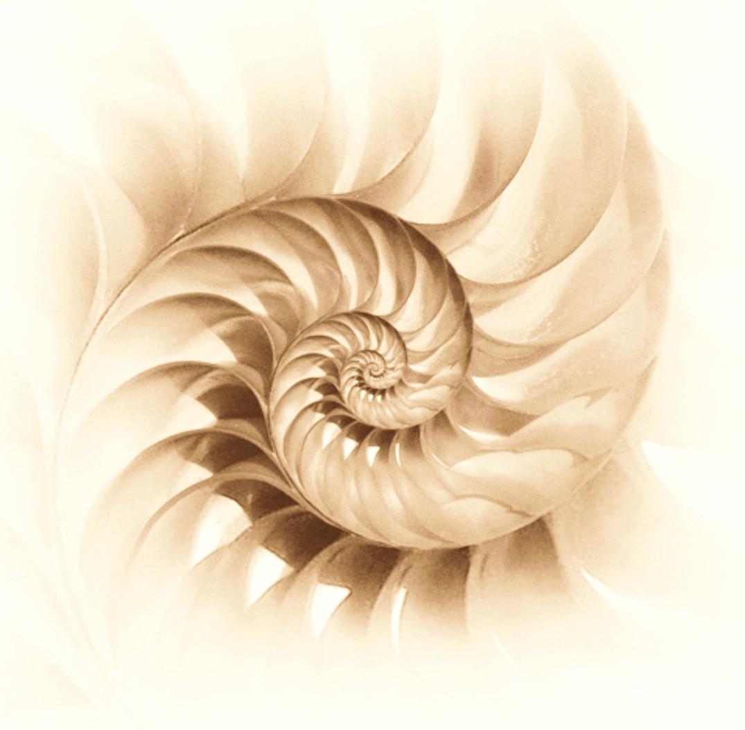 Empowering Better Health, LLC| GENE Key's| Columbus, OH| Deb Holcomb