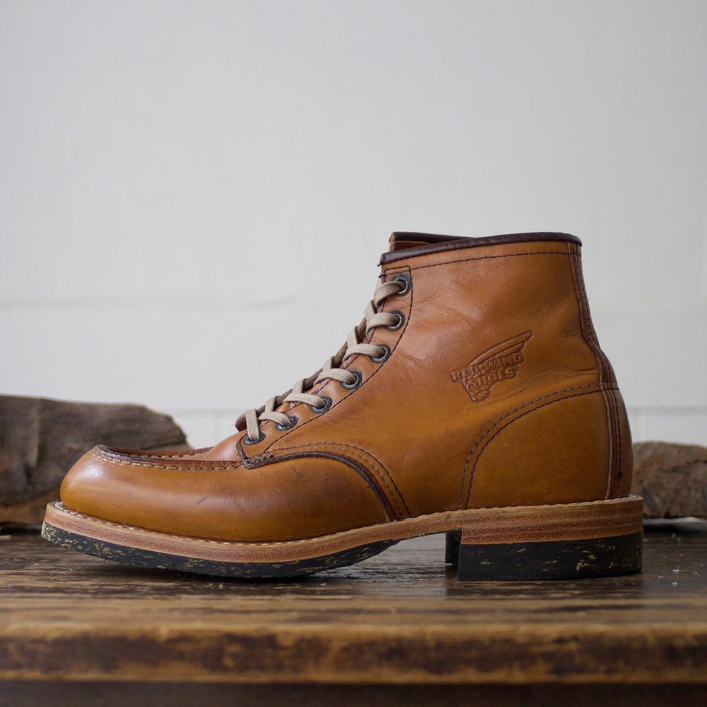 | Dr. Sole