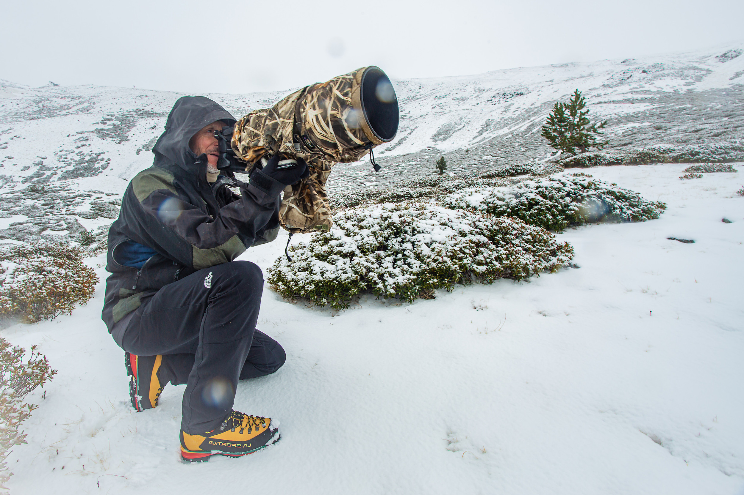 Auteur | Alain Victor | Pyrénées Monde Sauvage