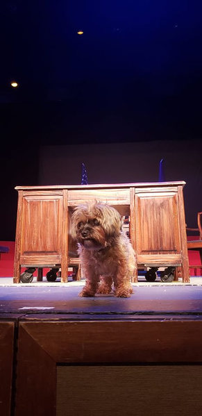 Home | Michelle Mosley