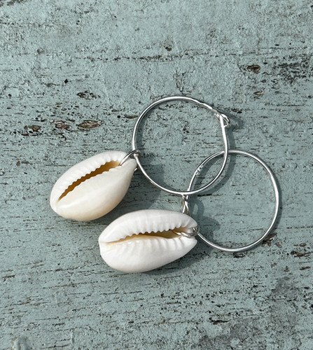Cowrie shell hoops | Sandbanks Jewellery