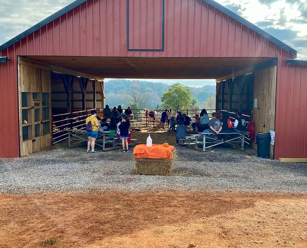 Red Wolf Farm, Photos, Maiden, NC