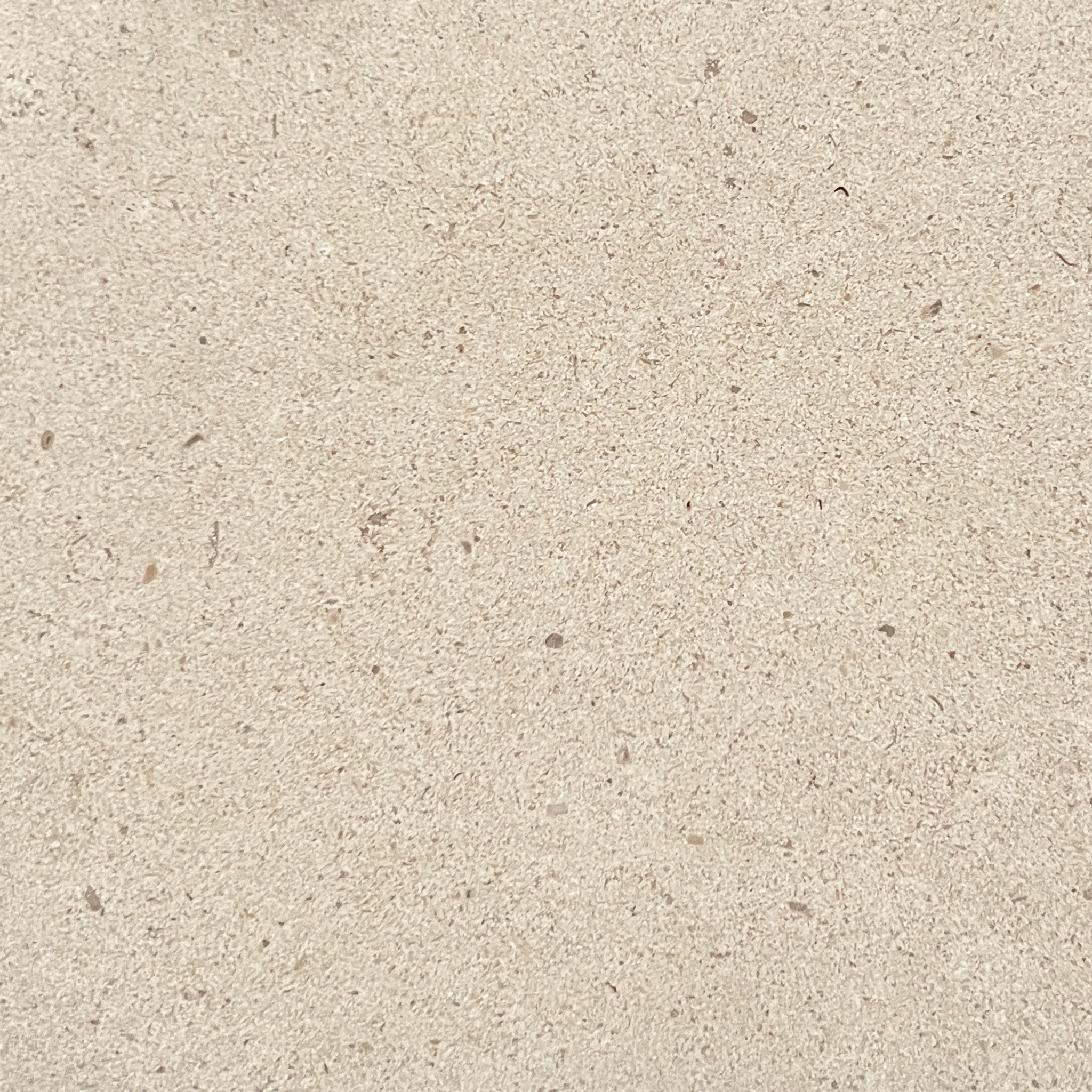 Portuguese Moleanos Limestone | Material Library | Limestone