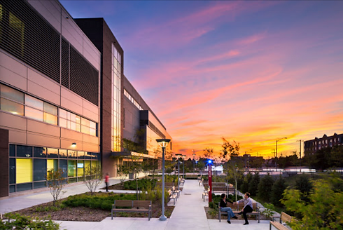 Contact Us | Dr. Kate Pizzuto OBGYN