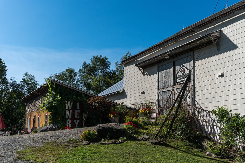 Farm | Stable Gate Winery | Winery | Upstate New York | Local