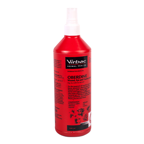 SHEEP | Priority Animal Care