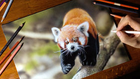 marcello barenghi tutorial